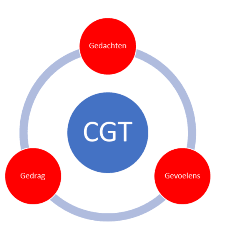 CGT: Cognitieve gedragstherapie - Hoofdpersoon